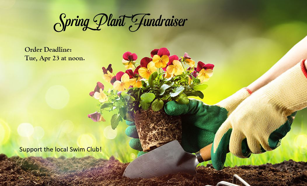 Product Inventory : Prince Rupert Amateur Swim Club